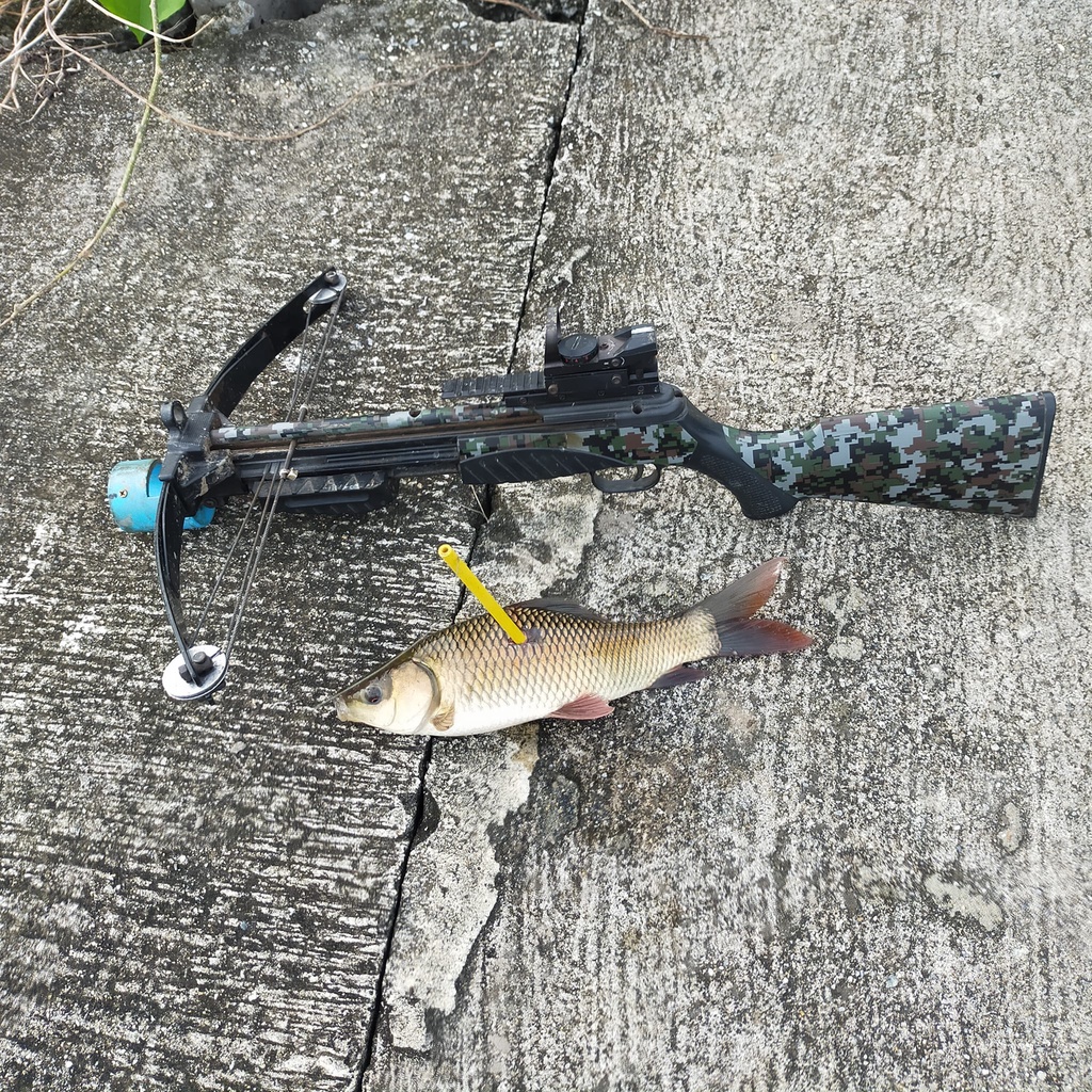 หน้าไม้S3Nศูนย์หลังแบบโอลิมปิคแรงเหลือใช้ใช้งานได้ทันทีและติดตั้งชุดยิง ...