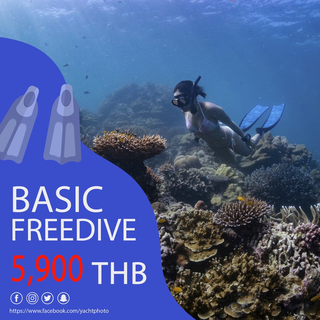 คอร์สเรียน Basic freediving | Shopee Thailand