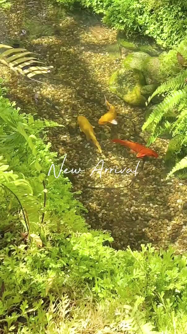 Muniga, ร้านค้าออนไลน์ | Shopee Thailand