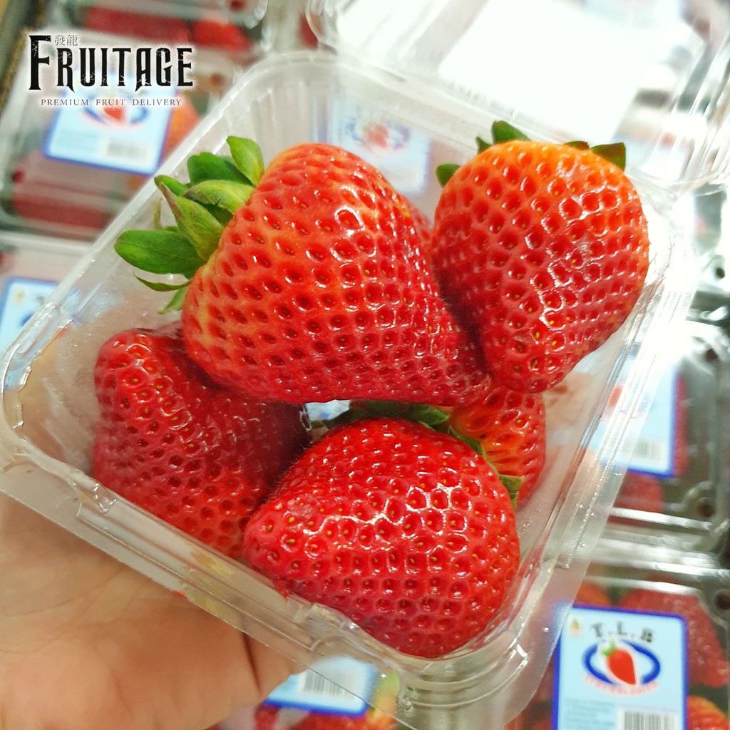 สตอเบอรี่นำเข้า จากอเมริกา/ออส Strawberry (USA/AUS) (1แพค/250กรัม) ~ลด ...