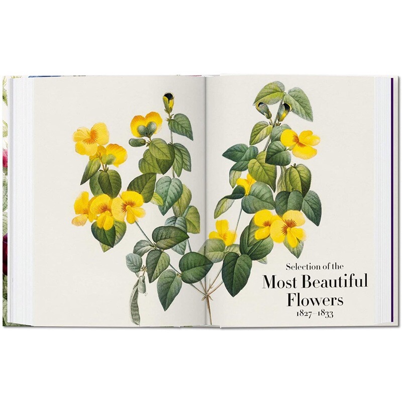 REDOUTE BOOK OF FLOWERS (TASCHEN 40) - praw.07 - ThaiPick