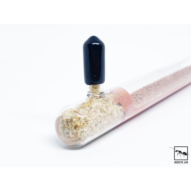 หลอดปูนทราย เติมน้ำสำหรับมด (Injection water sand tube bamboo tube ...