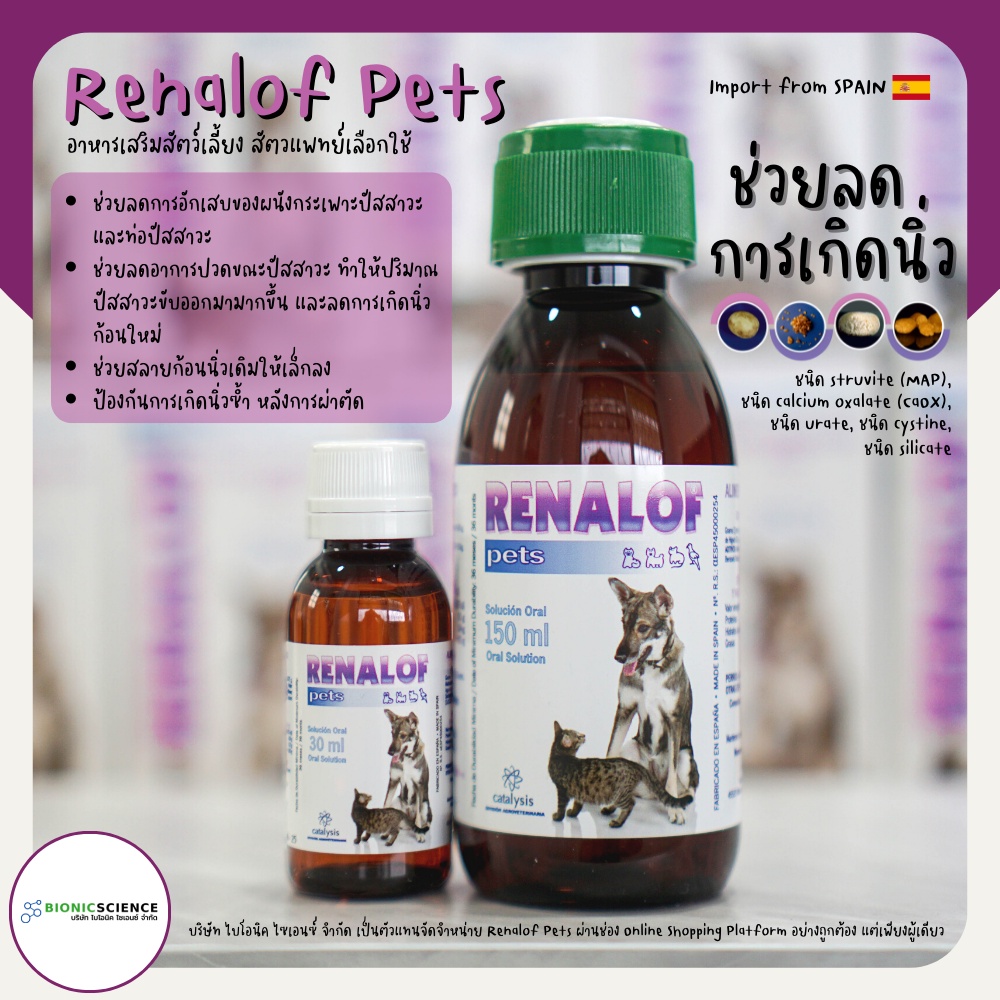 ของแท้ส่งไว ช่วยสลายนิ่ว ไต กระเพาะปัสสาวะ กระเพาะปัสสาวะอักเสบ Renalof ...