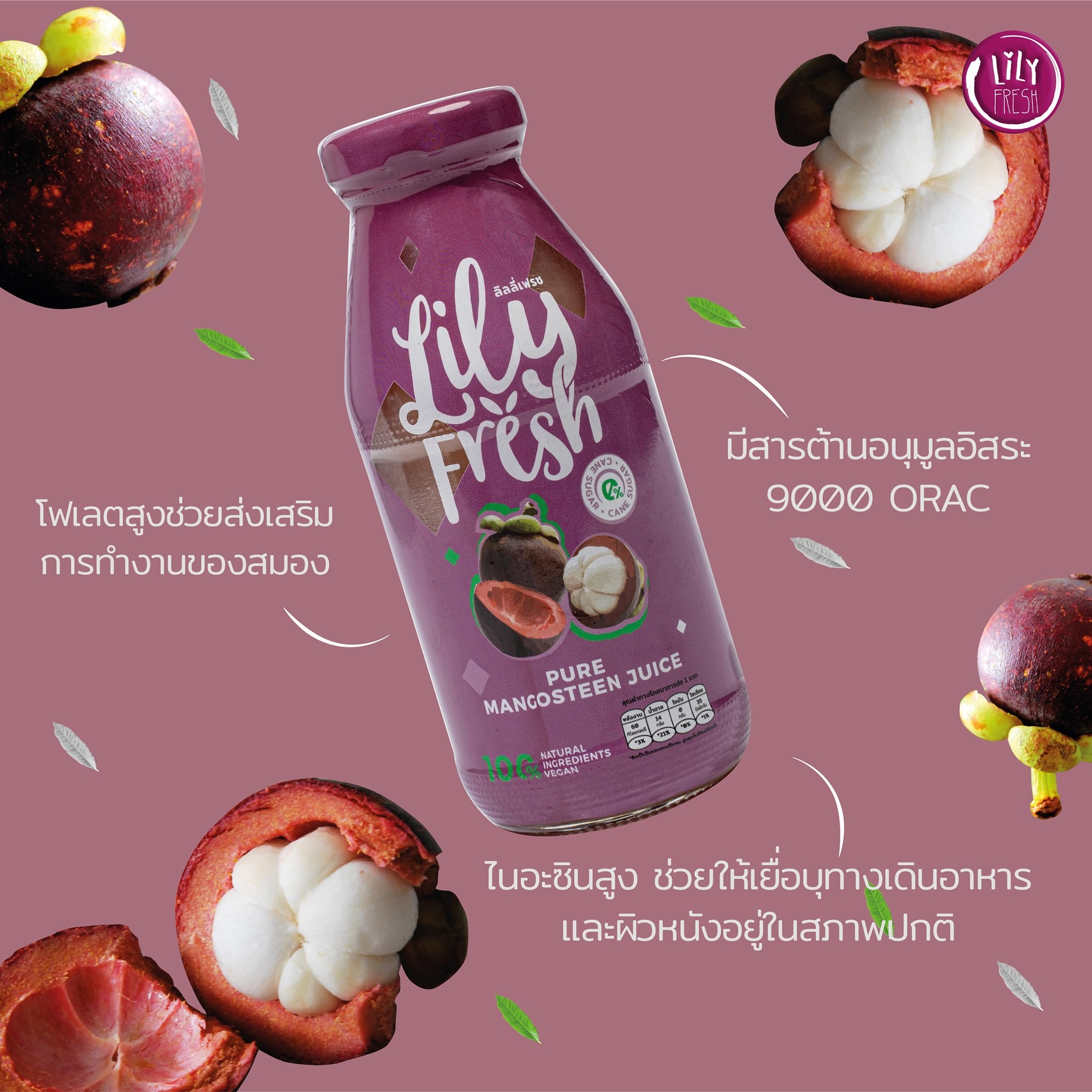 lilyfresh_officialshop, ร้านค้าออนไลน์ | Shopee Thailand