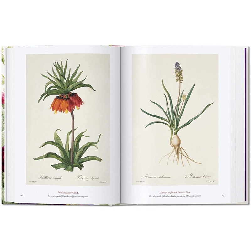 REDOUTE BOOK OF FLOWERS (TASCHEN 40) - praw.07 - ThaiPick