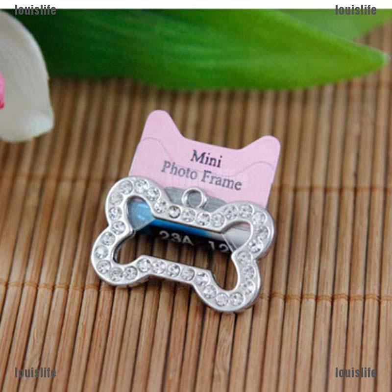 thro Stainless Steel Metal Bone Shaped Pet Dog Cat ID Name Tags jelly ...