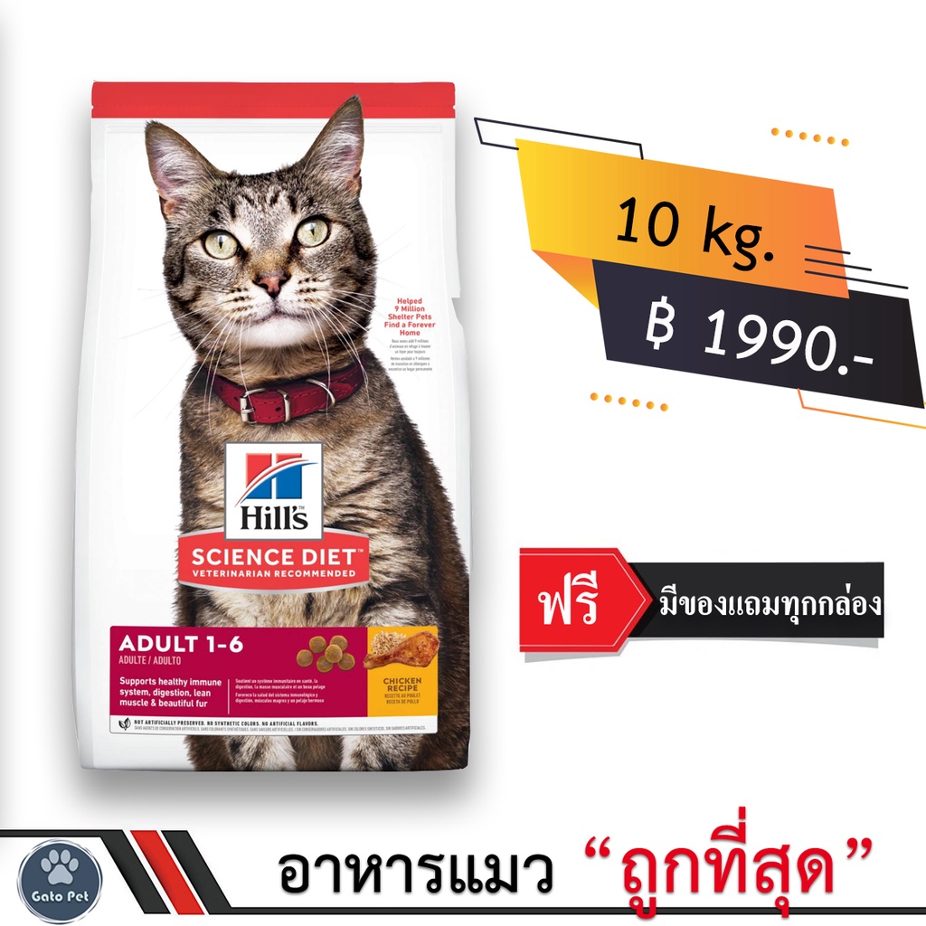 ขาย Hills Science Diet Adult 10kg. อาหารแมวโต ตั้งแต่อายุ 1-6 ปี ...