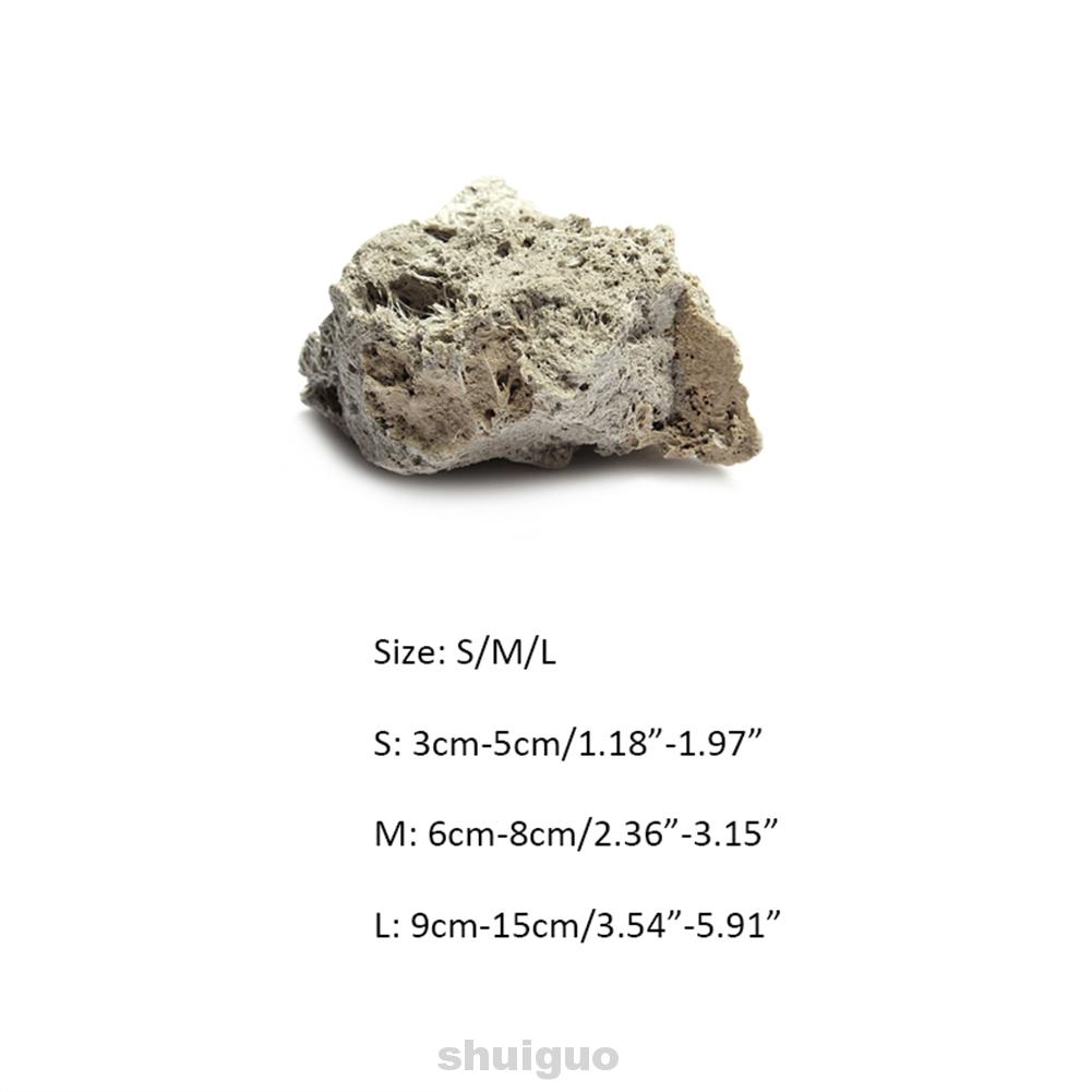 Shuiguo อุปกรณ์เสริมตกแต่งตู้ปลา - shuiguo11.th - ThaiPick