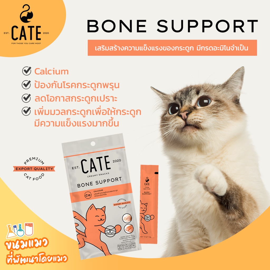 CATE เคท ขนมแมวเลียบำรุงสุขภาพคละสูตร Prebiotics Vitamin E and Lysine ...