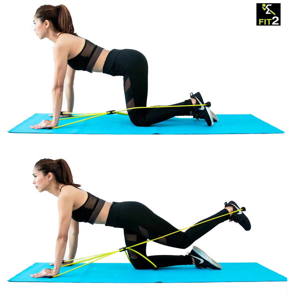 Fit2 ยางยืดออกกำลังกาย ชุดแพ็ค 2 ชิ้น (มีคู่มือVDOท่าออกกำลังกาย) ฟิตทู ยางยืดออกกำลังกาย ขอ ...