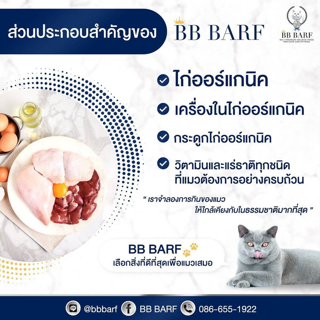 BB Barf cat food อาหารบาร์ฟ อาหารสดดิบสำหรับแมว อาหารแช่แข็งแมว คละรส ...