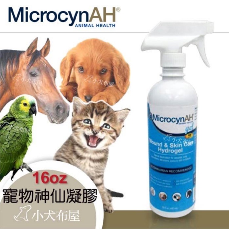 Microcynah Wound & Skin Care Hydrogel 16Oz 9J3L | Shopee Thailand
