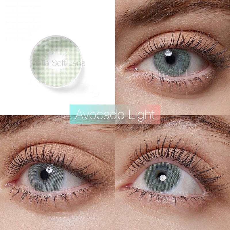 Avocado Avocado Light คอนแทคเลนส์นำเข้า รายปี 390.- มีค่าสายตา - matia ...