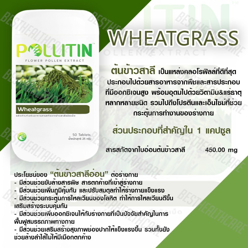Pollitin พอลลิติน Cernitin เซอร์นิติน - เซตเนื้องอก 2 เนื้องอกในเต้านม ...