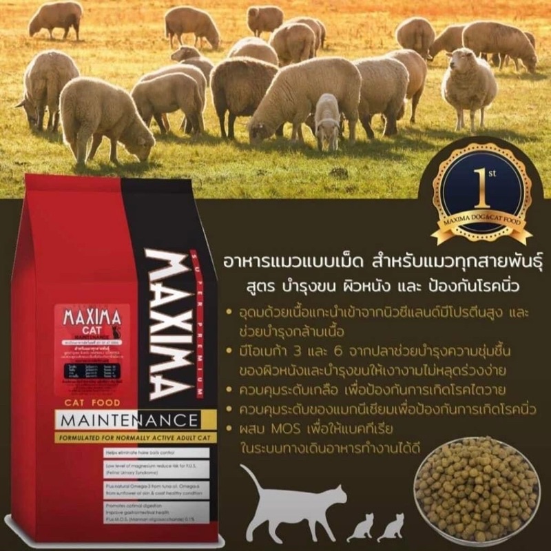 Maxima อาหารแมวบำรุงขน ทำจากเนื้อแกะ แม็กซิม่า 15kg - jlekpetshop ...