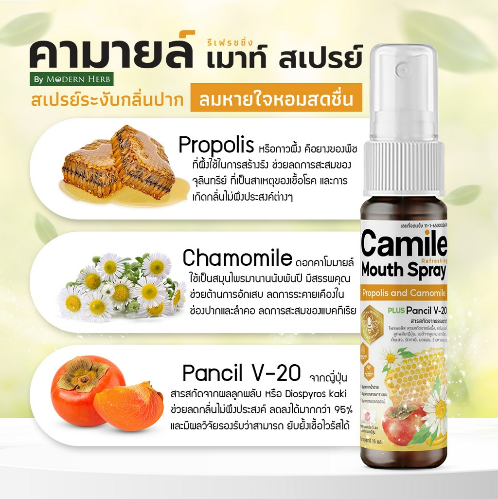 Tomin Thailand Official, ร้านค้าออนไลน์ | Shopee Thailand