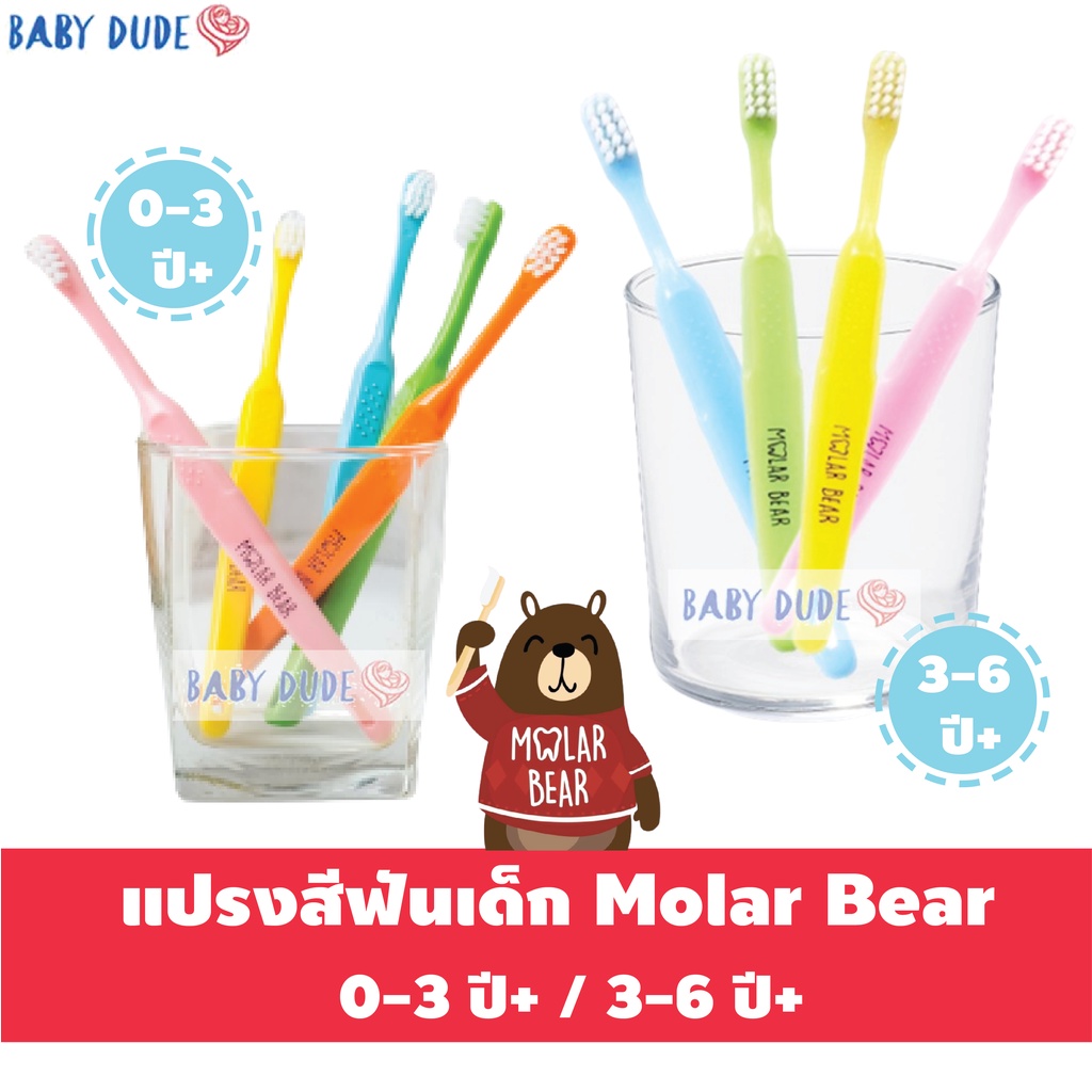 แปรงสีฟันเด็ก Molar Bear โมล่าร์แบร์ แปรงสีฟัน สำหรับเด็ก 0-3 ปี / 3-6 ...