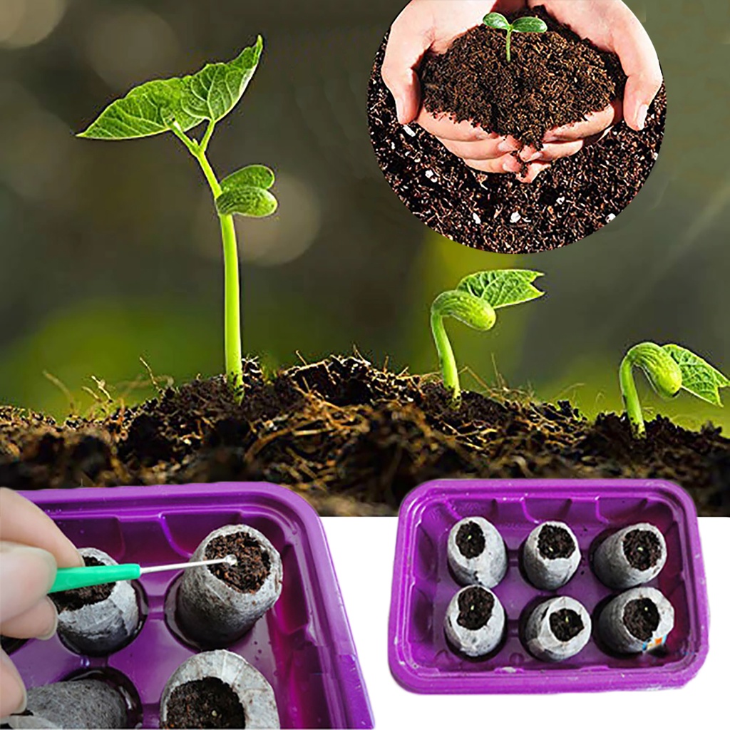 Peat pellet, seed starting plug, soil pellets - EXPANDS QUICKLY - ECO ...