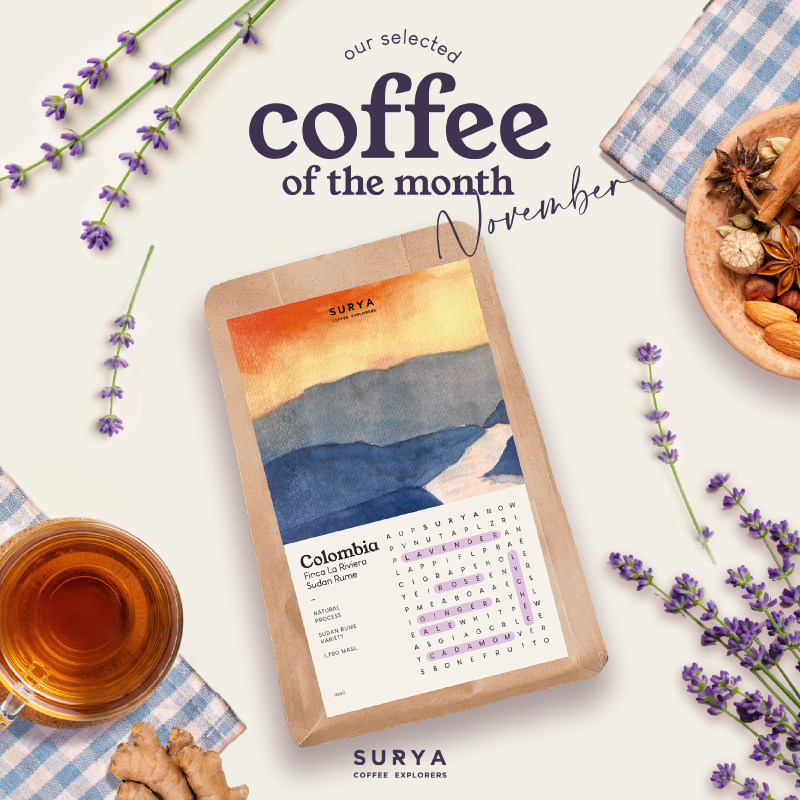 SURYA Coffee Explorers, ร้านค้าออนไลน์ | Shopee Thailand