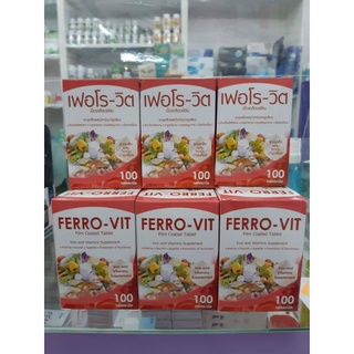 เฟอโร-วิต 100 เม็ด [FERRO-VIT] วิตามินบำรุงร่างกาย เจริญอาหาร | Shopee ...