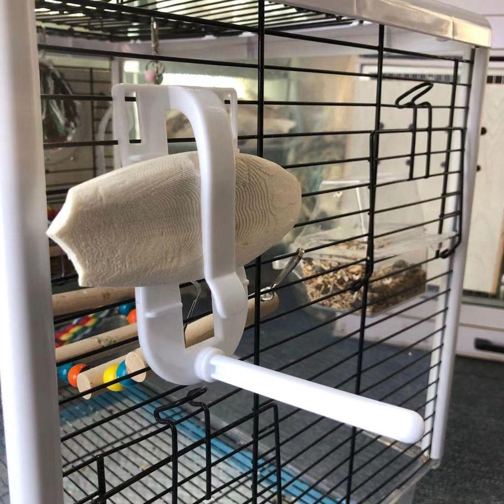 MALCOLM Cockatiel Cuttlebone Clip Parakeet Parrot Feeder Bird Food ...