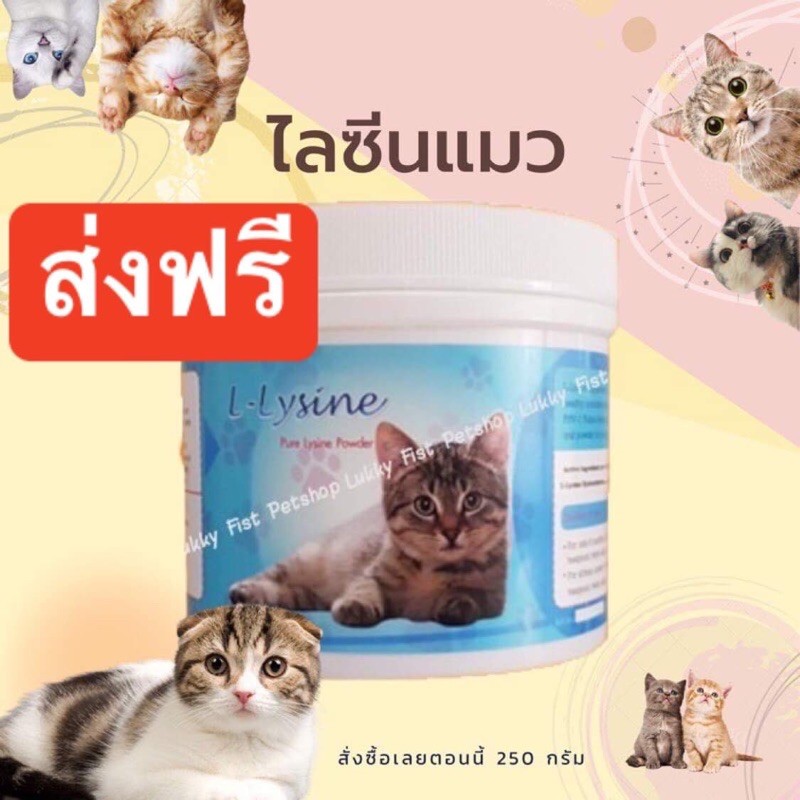 วิตามินแมว ไลซีน ไลซีนแมว ไลซีนผง ไลซีนสำหรับแมว เสริมภูมิแมว ไลซีนแมว ...