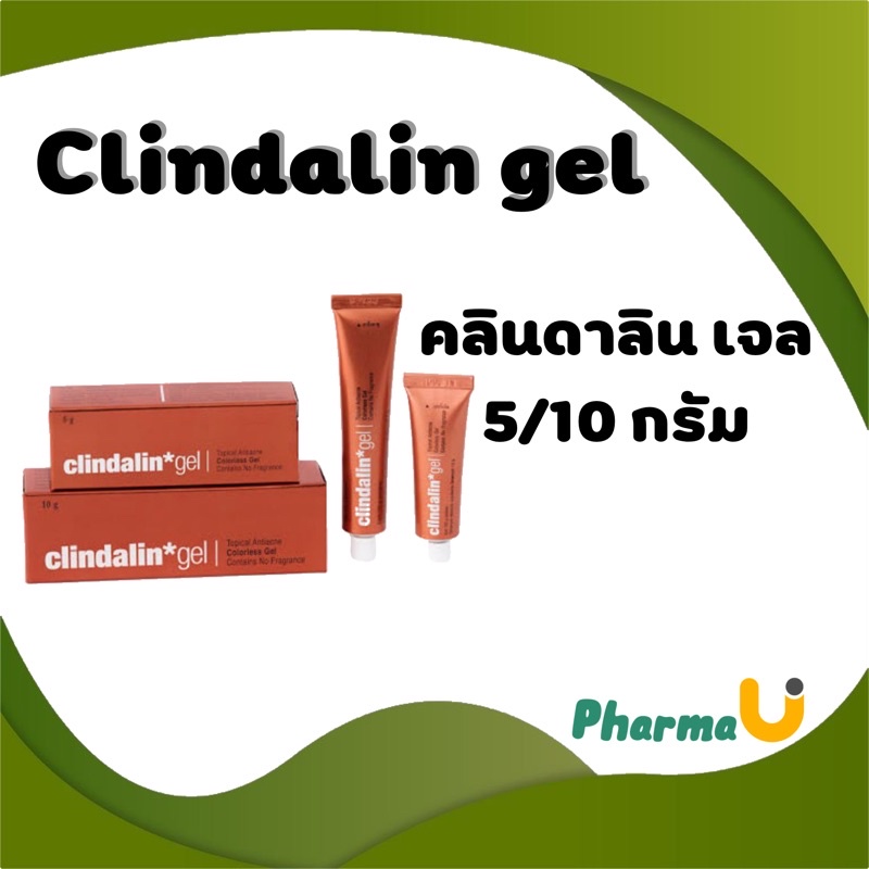 Clindalin ถูกที่สุด พร้อมโปรโมชั่น - ม.ค. 2022 | BigGo เช็คราคาง่ายๆ