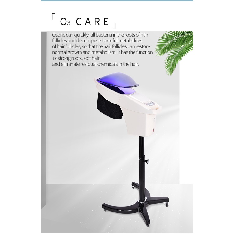Salon Hair Care Professional O3 Ozone Micro Mist Hair Steamer Standing ...