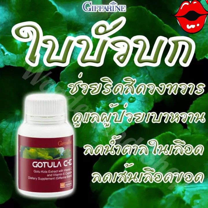 ส่งฟรี โกตูรา ซีอี กิฟฟารีน Gotula C-E สารสกัดใบบัวบก รักษาแผลเบาหวาน ...