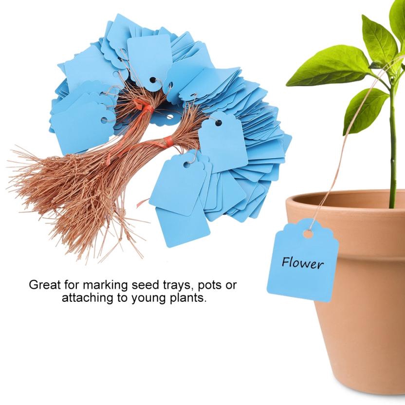 200pcs PVC Hanging Flower Plant Seed Hanging Seed Name Tag - onebuycart ...