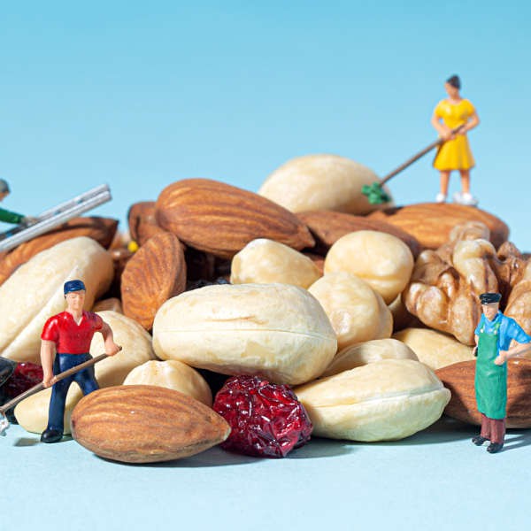 ถั่วและธัญพืช กล่องของขวัญอ่อนนุช Chacha Daily Nut Chacha ผลไม้อบแห้ง ...