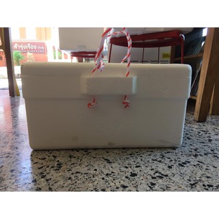 กล่องโฟมหูหิ้วขนาดกลาง + น้ำแข็งแห้ง (Dry Ice) | Shopee Thailand