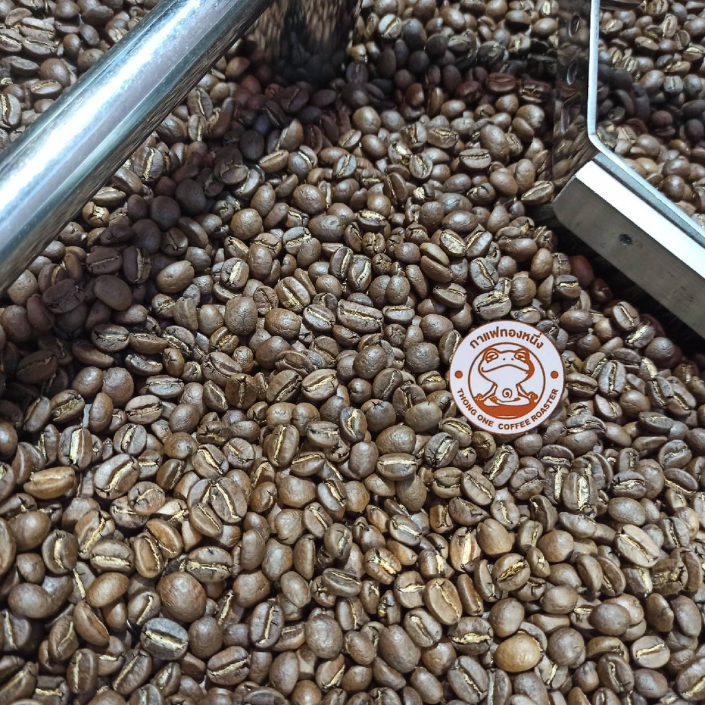 กาแฟทองหนึ่ง - เมล็ดกาแฟคั่ว แม่จันใต้ จ.เชียงราย (MAE JAN TAI) อาราบ ...