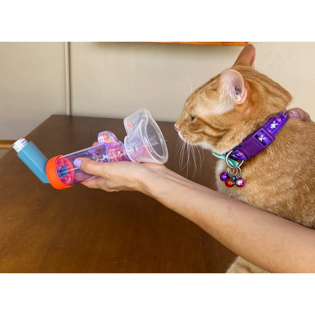 pet spacer กระบอกพ่นยาสำหรับแมว(สีส้ม) - petspacer - ThaiPick