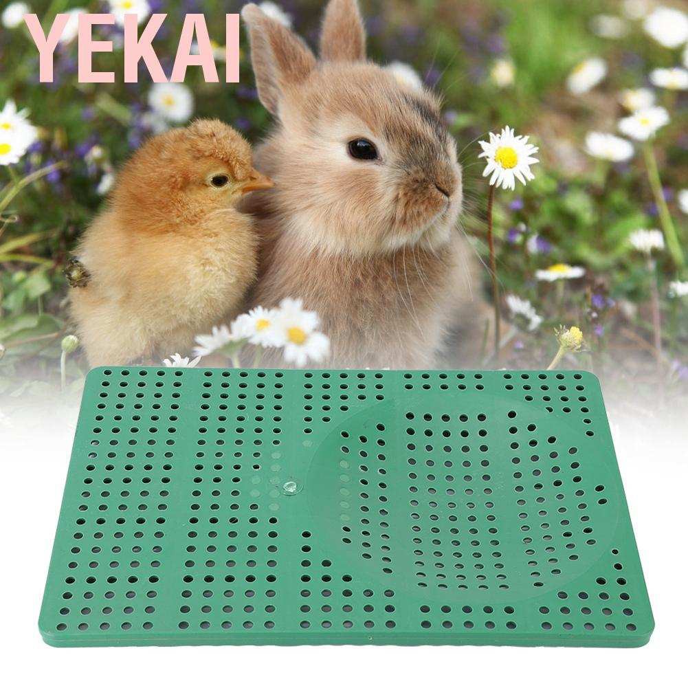 Yekai แผ่นกันกัดสําหรับสัตว์เลี้ยง - yekai.th - ThaiPick