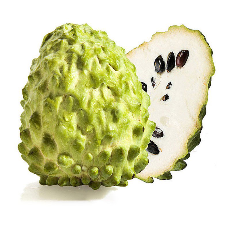 10 Pcs Biji Benih Buah Nona Sugar Apple seed 释迦果 | Shopee Thailand