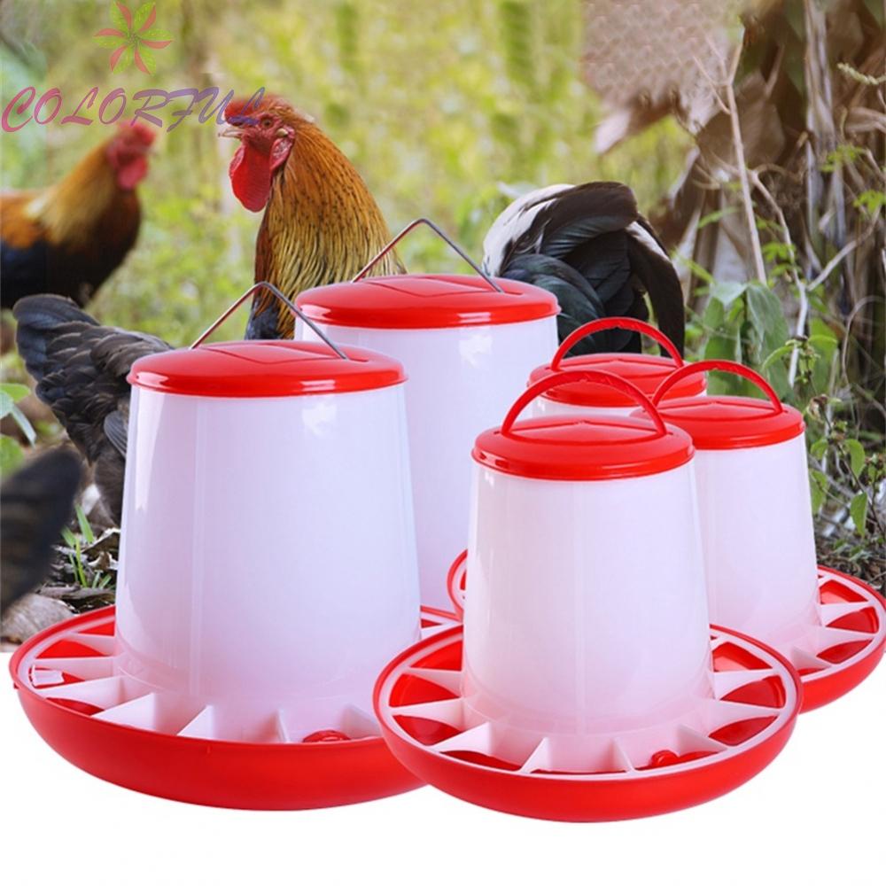 COLORFULFeeder Chick Chicken Chook Container Dispenser Eating Farm Food ...