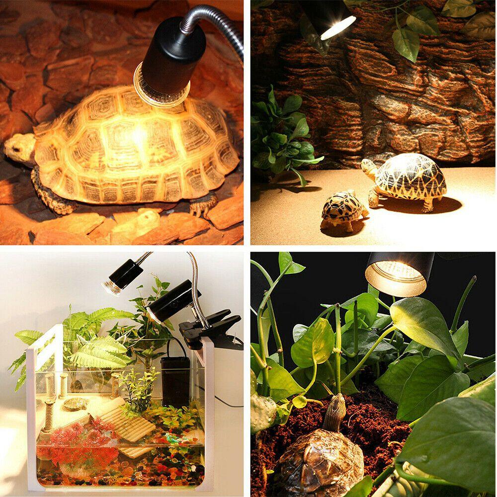 CHERRY 1/3Pcs Full Spectrum Heat Emitter Lamp Tortoise Heat Emitter ...