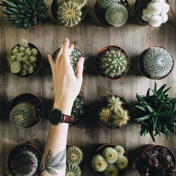 DANIEL WELLINGTON DW CLASSIC MELROSE 0610D 0611D 36MM WATCH-นาฬิกา ...