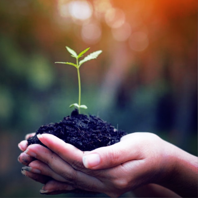 pot_is_fun, ร้านค้าออนไลน์ | Shopee Thailand