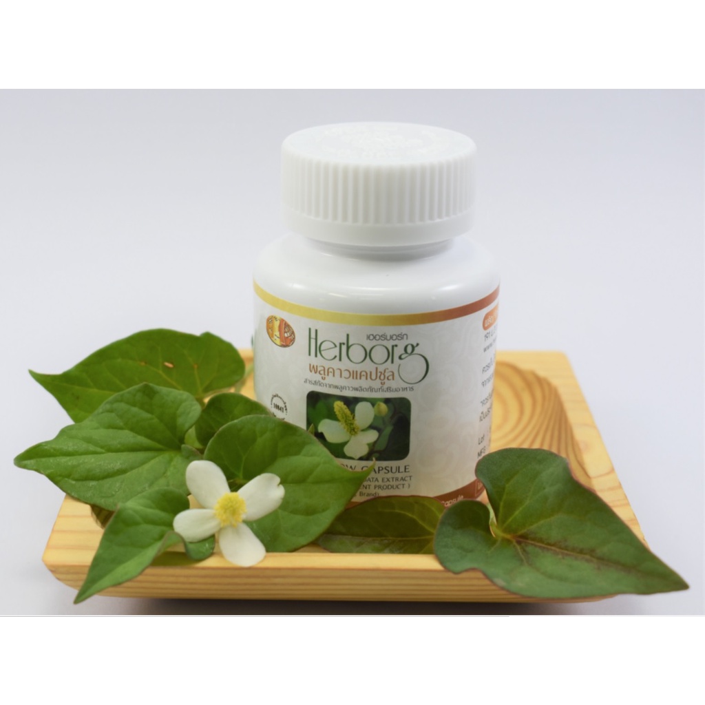 พลูคาวสกัด 100 ยี่ห้อ เฮอร์บอร์ก Herborg มี อย. ขนาด 60 แคปซูล ...