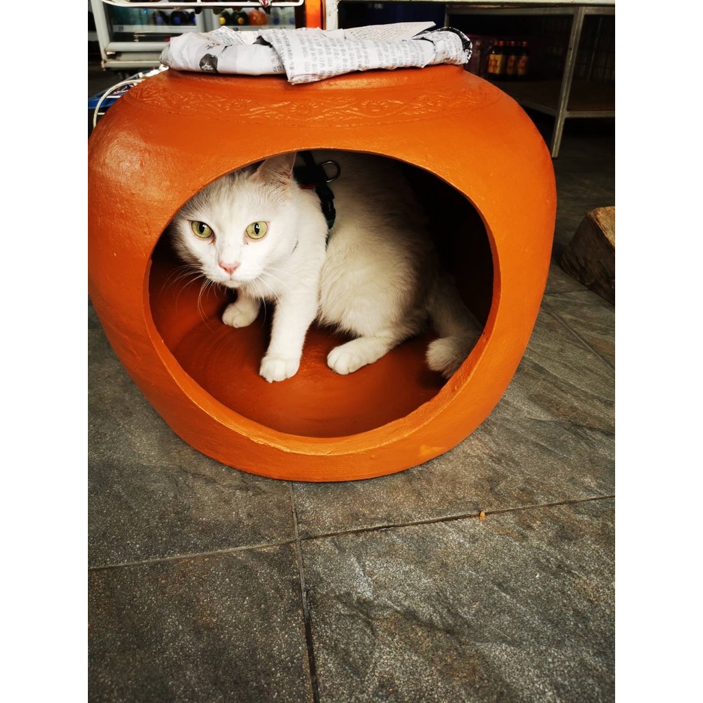 โอ่งดินเผา18 ถูกที่สุด พร้อมโปรโมชั่น ส.ค. 2024|BigGoเช็คราคาง่ายๆ