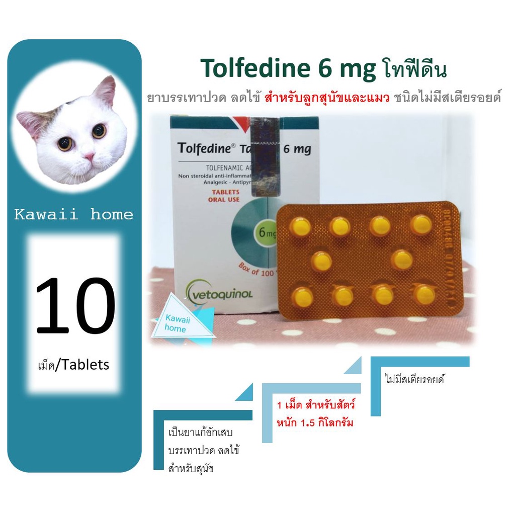 (AE01) โทฟีดีน 6 mg สำหรับลูกสุนัขและแมว (จำนวน 1 แผง 10 เม็ด) หมดอายุ ...