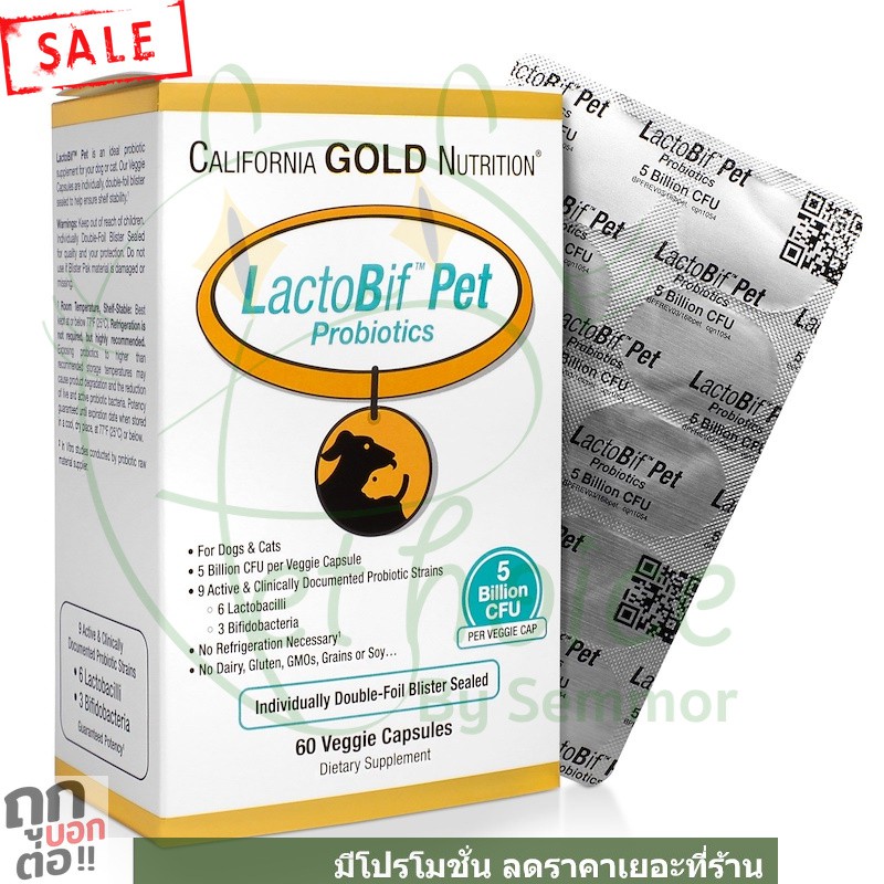 (ของแท้) Interpharma TS6 Probiotic ทีเอสหก โปรไบโอติก (45 sachets ...