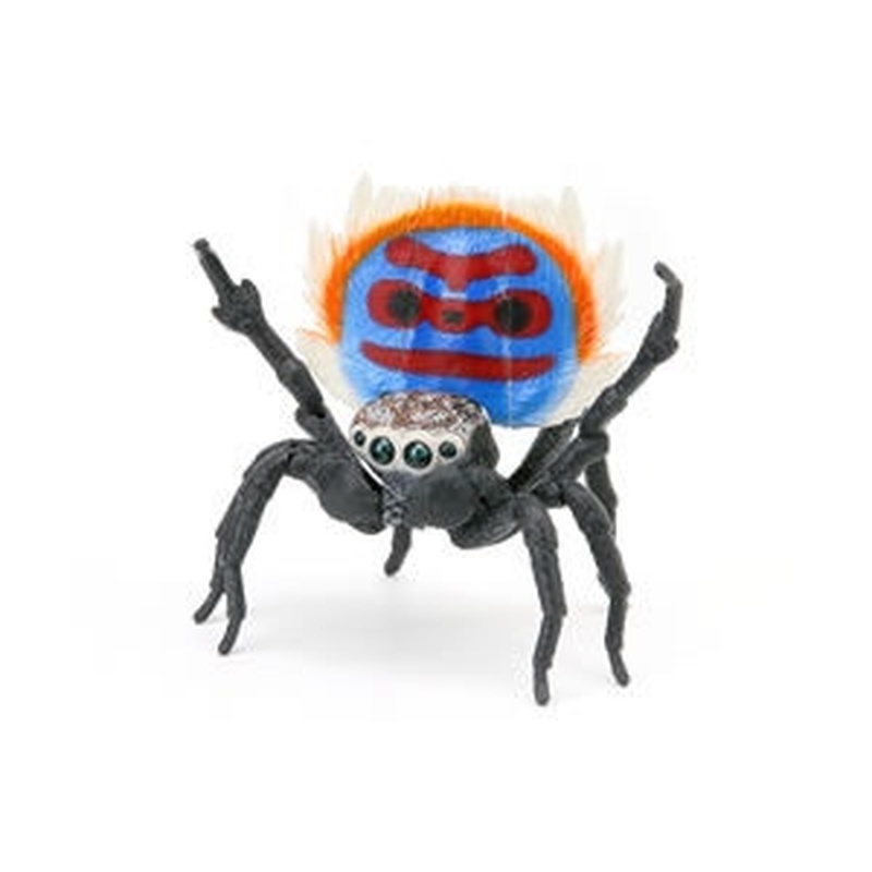 NewGenuine Gashapon Toys Simulation Insect Biographical Book Peacock ...