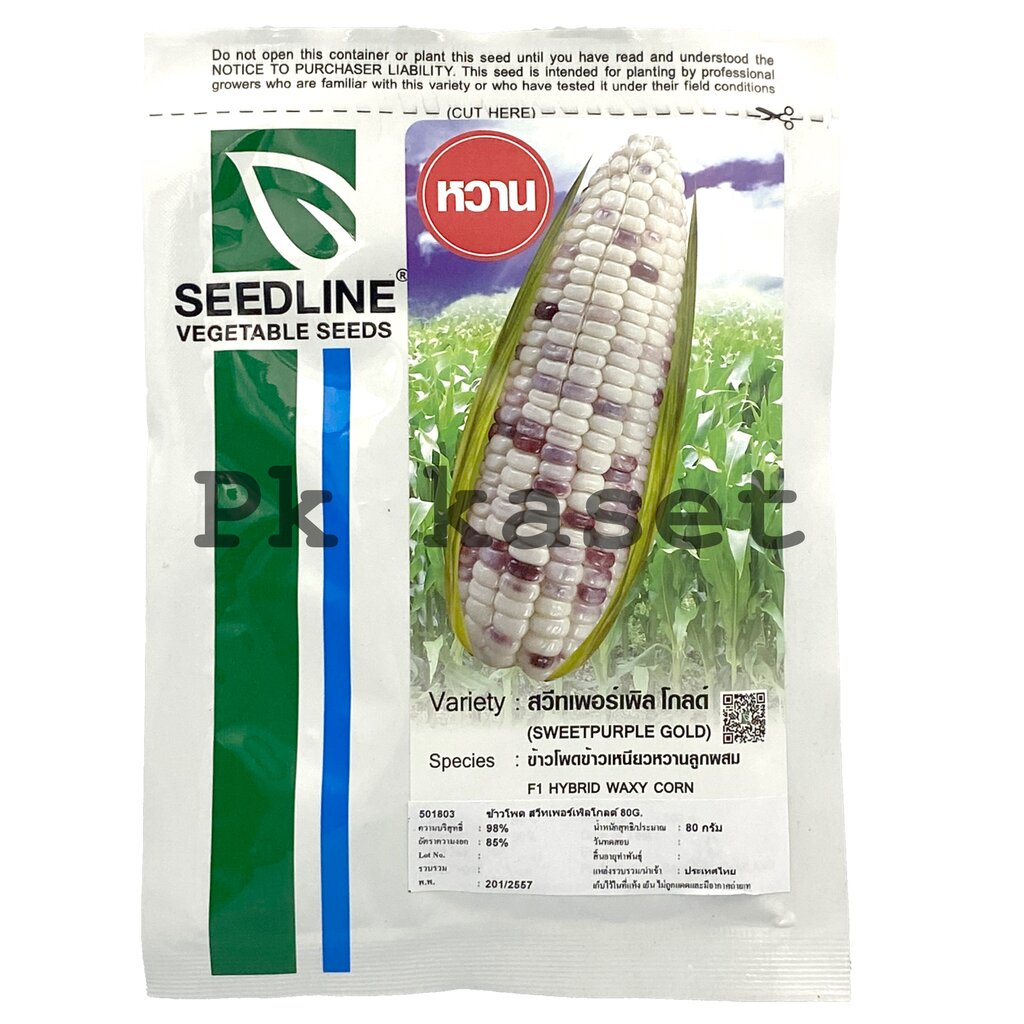 เมล็ดข้าวโพด สวีทเพอร์เพิล โกลด์ 80g ตราseedline ซองใหญ่ ข้าวโพดข้าวเหนียวหวานลูกผสม 480 เมล็ด ...
