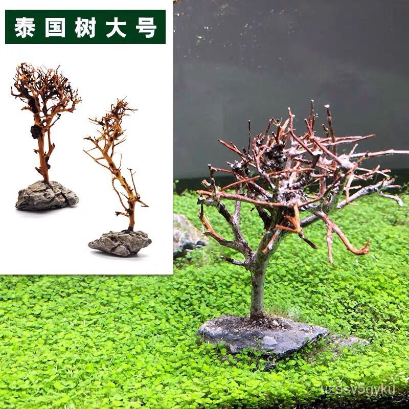 Wood Fish Tank Driftwood Natural Moss Tree Purple Teak Trunk Driftwood ...