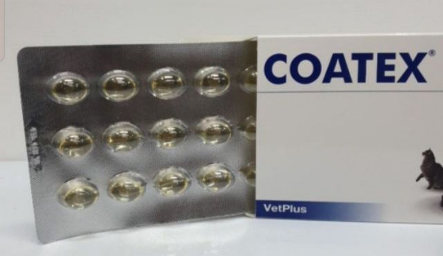 Coatex 60 capsules หมดอายุ 122023 อาหารเสริมบำรุงผิวหนังและขนสุนัขและ ...
