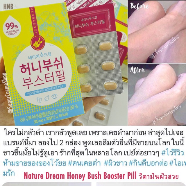 Honey Bush Booster Pill 30 Tablets - beautykorea_th - ThaiPick