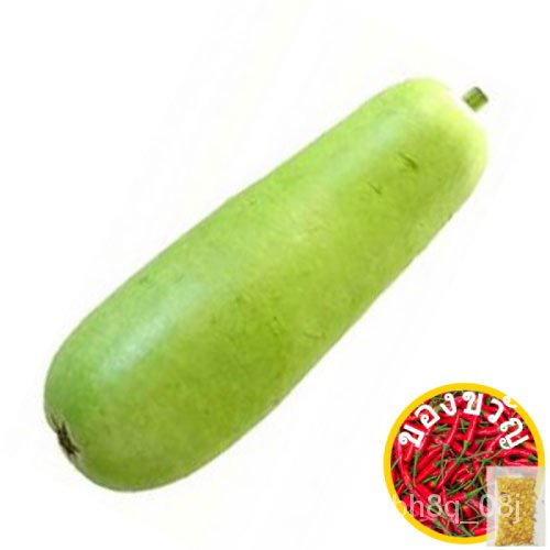 UPO Seeds 3grams 15-25 pcs Bottle Gourd Tambuli Vegetables Fruit Herbs ...